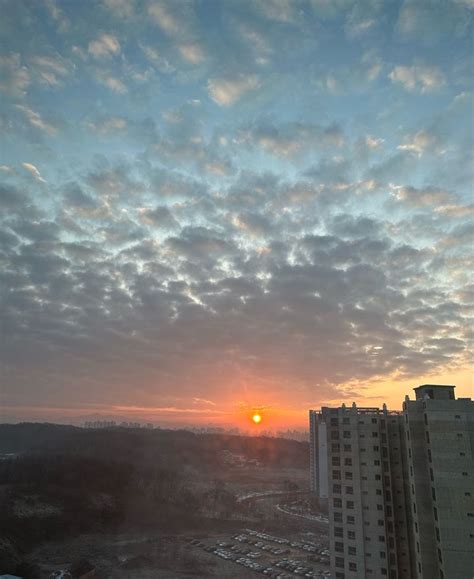 운정 다율동 해오름마을3단지제일풍경채그랑베뉴2차의 실거래가 시세 매물 주변정보 아파트는 호갱노노