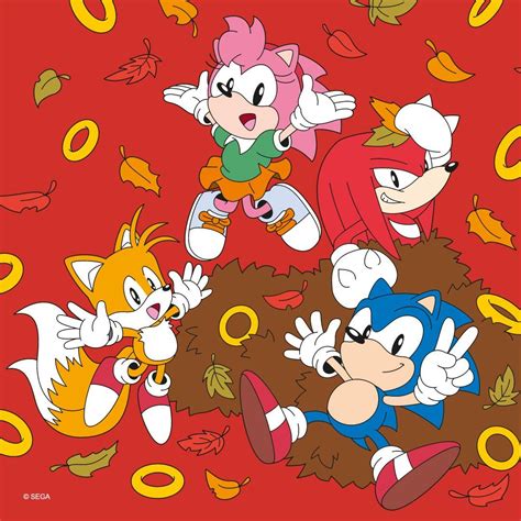 Pin By Jennifer Harris On Amy Rose Sonic The Hedgehog Sonic Classic