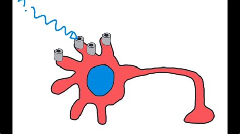04 Optogenetics Memory And Vision Youtube