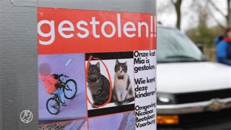 Gemist Hart Van Nederland Late Editie Kat Mia Is Terecht