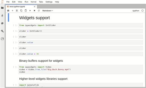 Usage — Xeus Python Documentation
