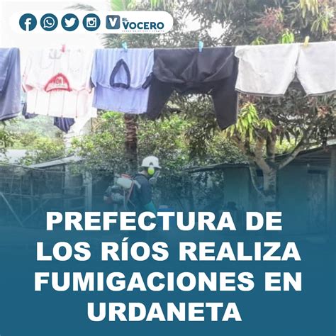PREFECTURA DE LOS RÍOS REALIZA FUMIGACIONES EN URDANETA El Vocero