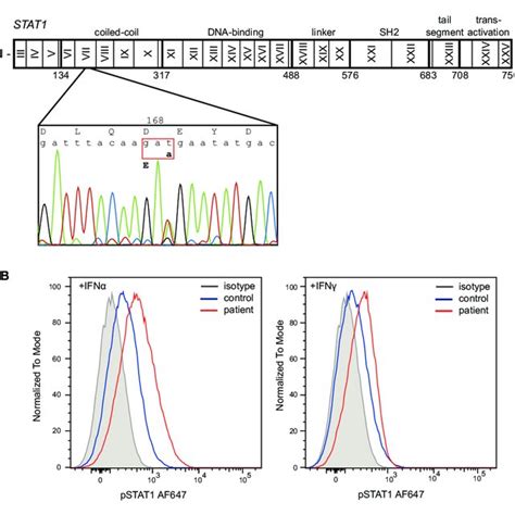 Identification Of A Heterozygous Mutation In Stat1 Leading To A Gain