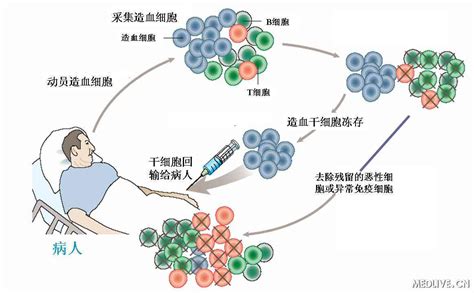 前沿技术 西安国际医学中心医院 血液病医院