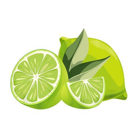 Download Lemon Lime Citrus Fruits Royalty Free Vector Graphic Pixabay