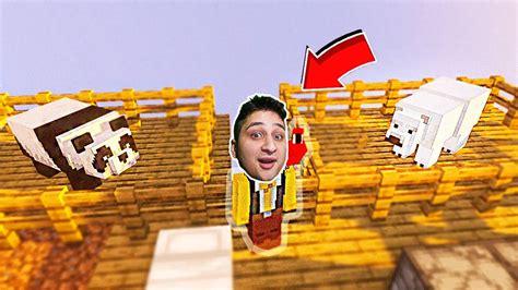 მე პოლარა და პანდა Minecraft ერთ ბლოკზე ნაწილი 6 Youtube