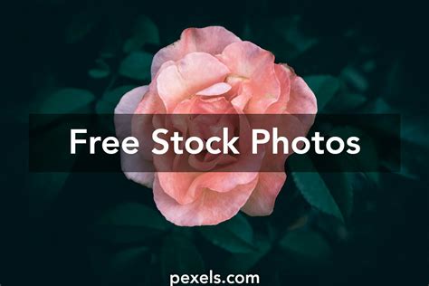 Background Single Color Images Photos Download The Best Free Background Single Color Images