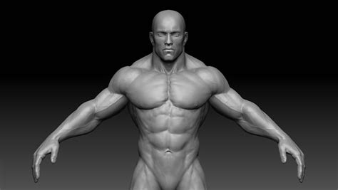 Bodybuilder Fbx Models For Download Turbosquid