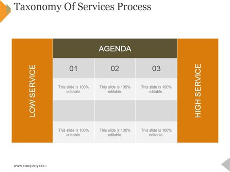 Taxonomy Of Services Process Ppt Powerpoint Presentation Icon Template