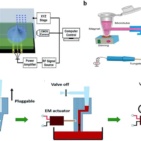 Pdf Single Cell Metabolomics Analysis By Microfluidics And Mass Spectrometry Recent New Advances