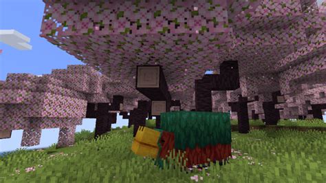 Mojang Announces New Cherry Blossom Biome Coming To Minecraft With 120 Update