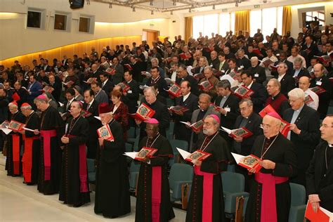 Religión Católica Organización De La Iglesia Católica