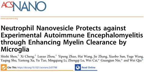 【中心科研】脑病中心邱伟 国家纳米科学中心聂广军acs Nano：中性粒细胞囊泡调节小胶质细胞，减轻中枢炎症 中山大学附属第三医院