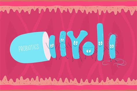 장의 배경에 Probiotics의 종류 프로바이오틱스가 함유된 캡슐 벡터 그림입니다 건강관리와 의술에 대한 스톡 벡터 아트 및 기타 이미지 건강관리와 의술 건강한 생활