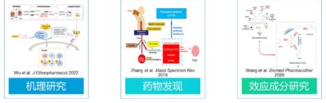 云生物 中药入血成分分析