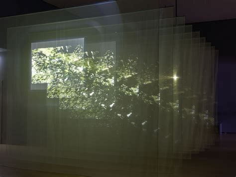 Bill Viola Artists James Cohan