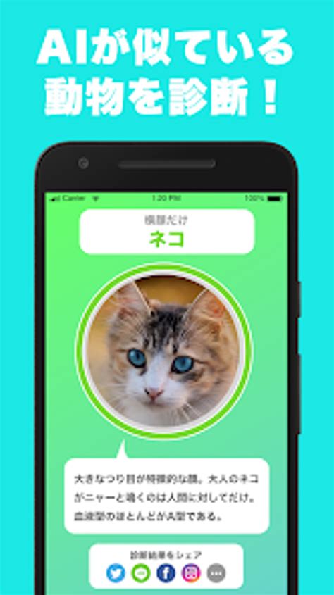 Animal Face Diagnosis For Android Download