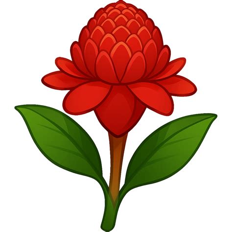Torch Ginger Magnet Hawaii Guide