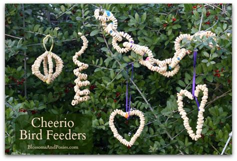 Cheerio Bird Feeders