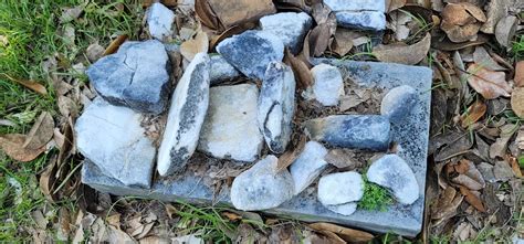 The Feral Irishman Shocking Phenomenon Alabama Man Struck Multiple