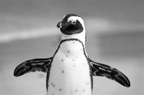 How To Check My Golang Version Win Macos Linux Be On The Right
