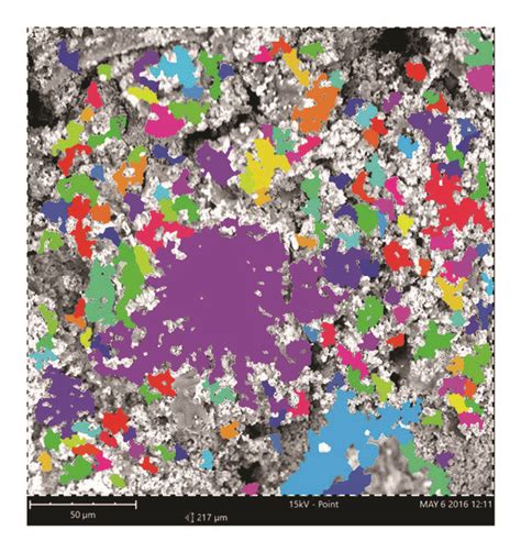 Sem Eds Analyses Of The T Grandis Capped Silver Nanoparticle