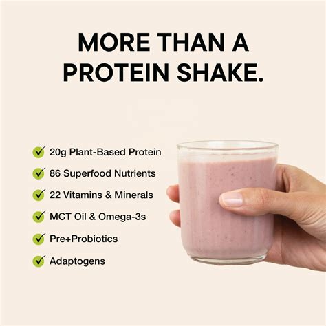 Superfood Complete Nutrition Shake 20G Plant Protein Powder Meal