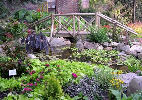 The Importance Of Professional Pond Drain And Clean Maintenance For A