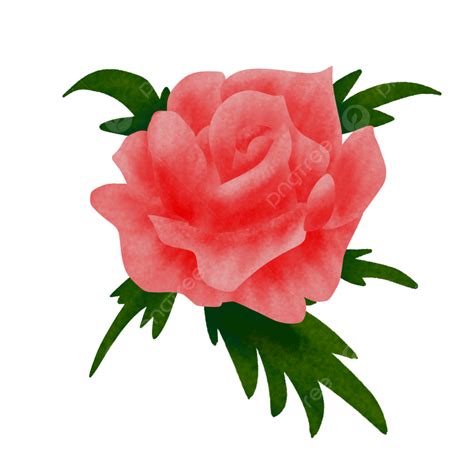 잎이 달린 붉은 장미 빨간 장미 장미 그림 장미 Png 일러스트 및 Psd 이미지 무료 다운로드 Pngtree