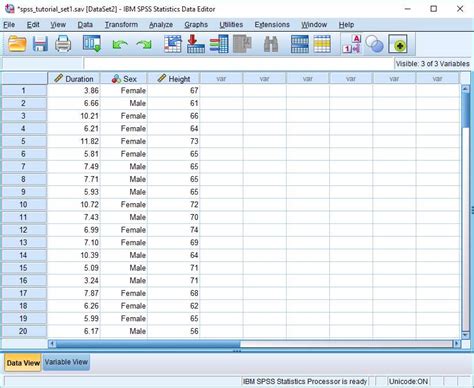 Spss Tutorial Data Manipulation