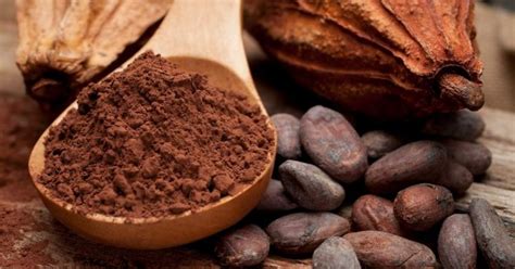 Cocoa Husk Tea Benefits And Recipes Its Never Not Teatime