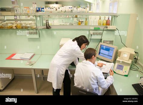 Quantification Of Genetically Modified Organisms Gmos Pcr Rt Dna