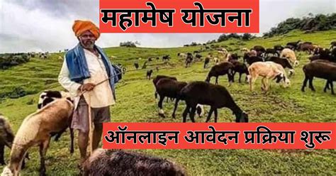Mahamesh Yojana 2024 महाराष्ट्र सरकार भेड़ पालन को देगी 75 सब्सिडी