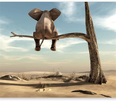 Murando Fototapete Elefant Auf Dem Baum 350x256 Cm Vlies Tapeten