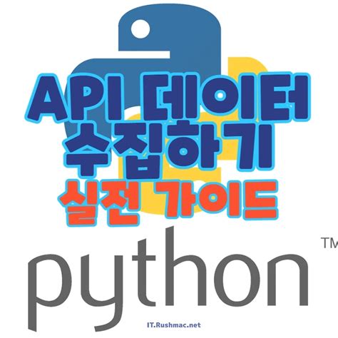 Python으로 Api 데이터 수집하기 실전 가이드