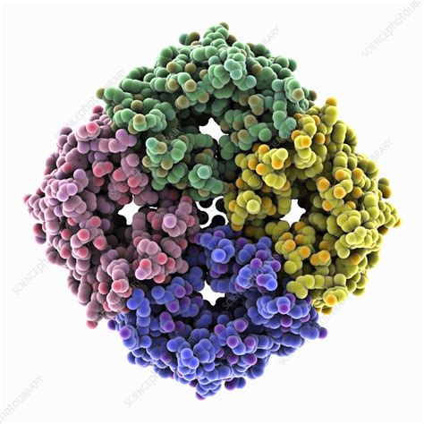 Tbaqp2 In Apo Conformation Molecular Model Stock Image C0599523