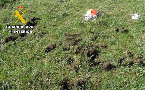 Sucesos Burgos Investigan A Un ‘pitero Por Daños Y Expolio En Una