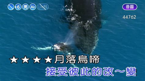 濤聲依舊~毛寧~男ab調~伴奏~音樂丙 Youtube