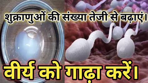 वीर्य को 100 गाढ़ा करें। शुक्राणुओं की संख्या तेजी से बढ़ाएं। How To