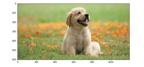 Advance Image Processing Using Opencv Nomidl