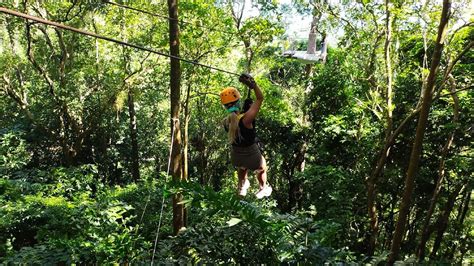 영어가이드 트리 브릿지 카페 And 짚라인 코사무이 정글 플라이트 어드벤처