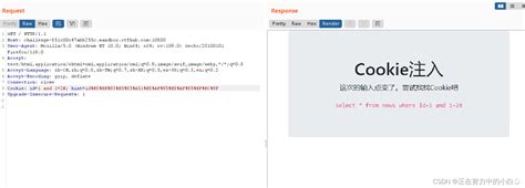 ctfhub cookie注入，ua注入，refer注入，过滤空格（利用hackbar插件） buuctf 上hackbar