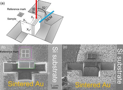 A Schematic Image Of Fib Sem System B Fib Image And C Sem Image