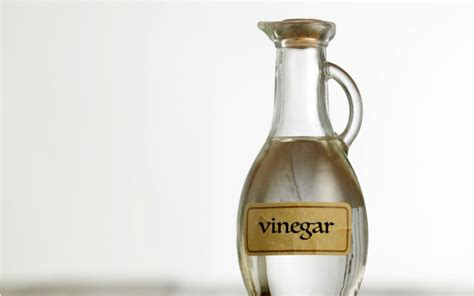 How To Remove Rust From Your Gardening Tools