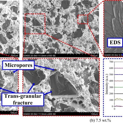 Sem Micrographs Of Raw Materials Download Scientific Diagram