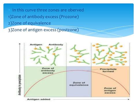 Antigen Antibody Interactions