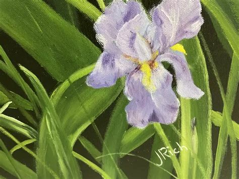Iris By Jane Rich