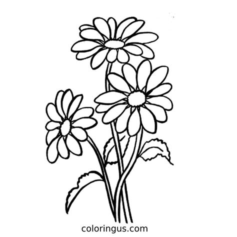 Daisy Flower Coloring Pages Free Printable Pdf