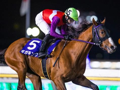 【船橋・報知グランプリカップ】重賞4勝目ギガキングの和田譲治騎手「1戦ごとに強くなって、これから楽しみ」 競馬ニュース