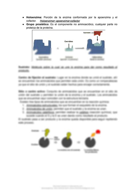 SOLUTION Cinetica Enzimatica Y Clasificacion De Enzimas Studypool